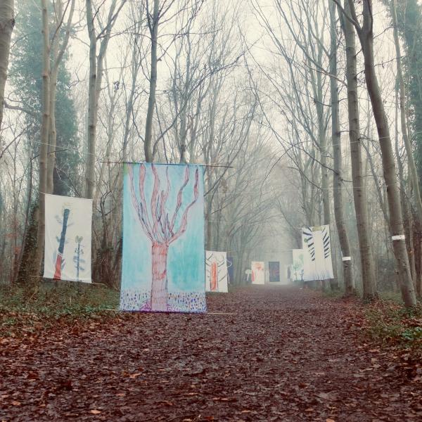 Fantastical Forest | Cambridge Curiosity and Imagination